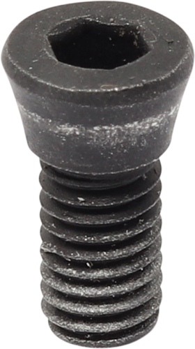 Labeda Proline King Pin Set Screw at Homewood Skate Shop